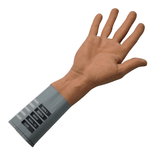 Nerve block injection | Task trainer | Medimodels