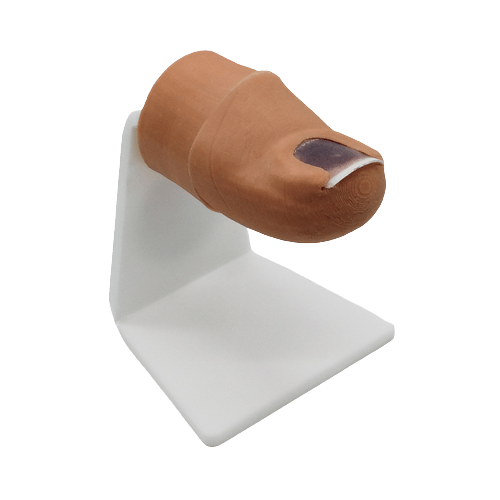 Task trainers | Nursing | Allied health | Medimodels