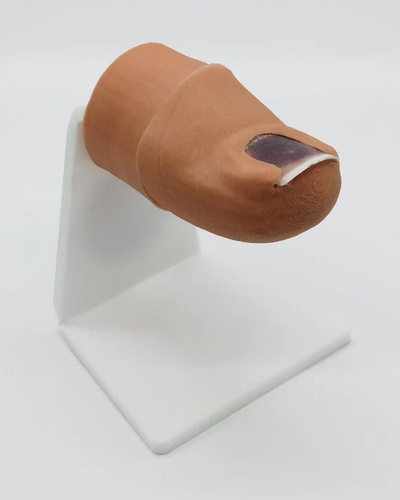 Replacement Nails - Subungal Hematoma Trephination trainer – Medimodels
