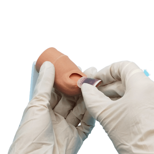 Replacement Nails - Subungal Hematoma Trephination trainer – Medimodels